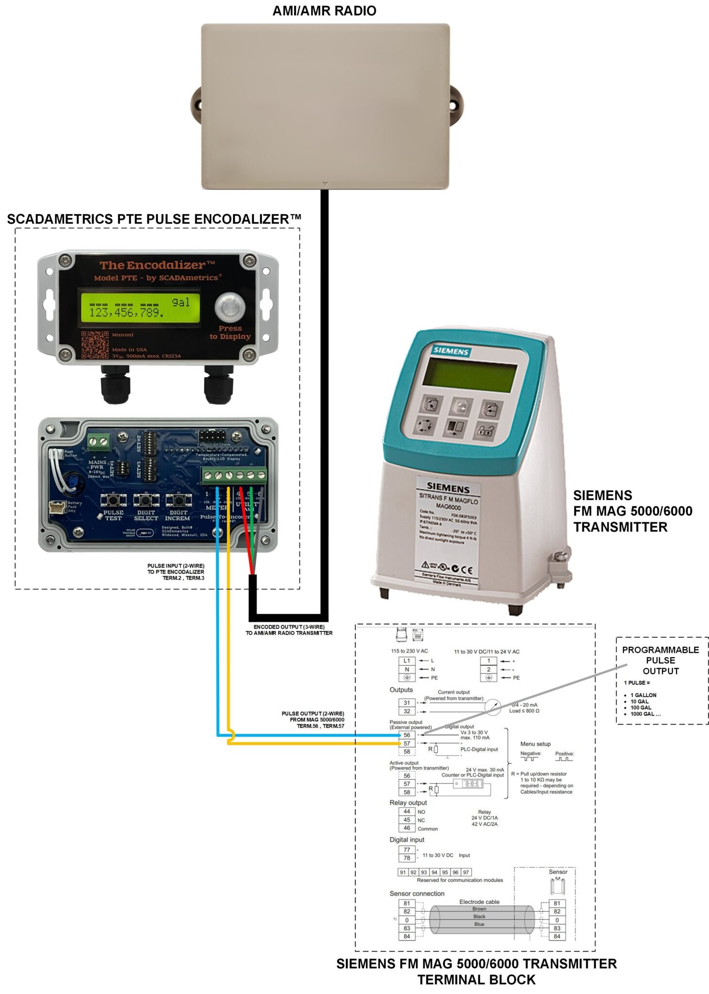 Connecting the Siemens MAG 5000 to an AMI System with the Pulse ...